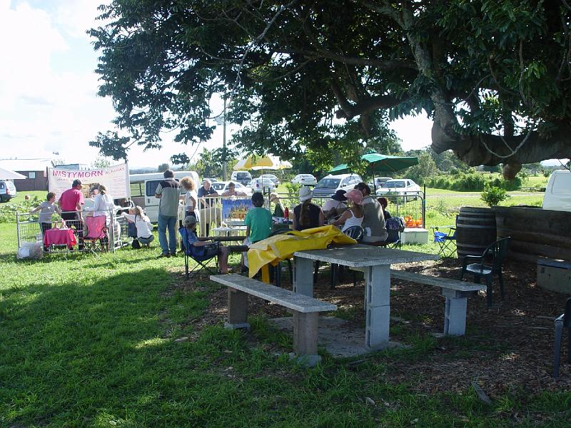 ghinni-alpacas/Ghinni-alpacas 016